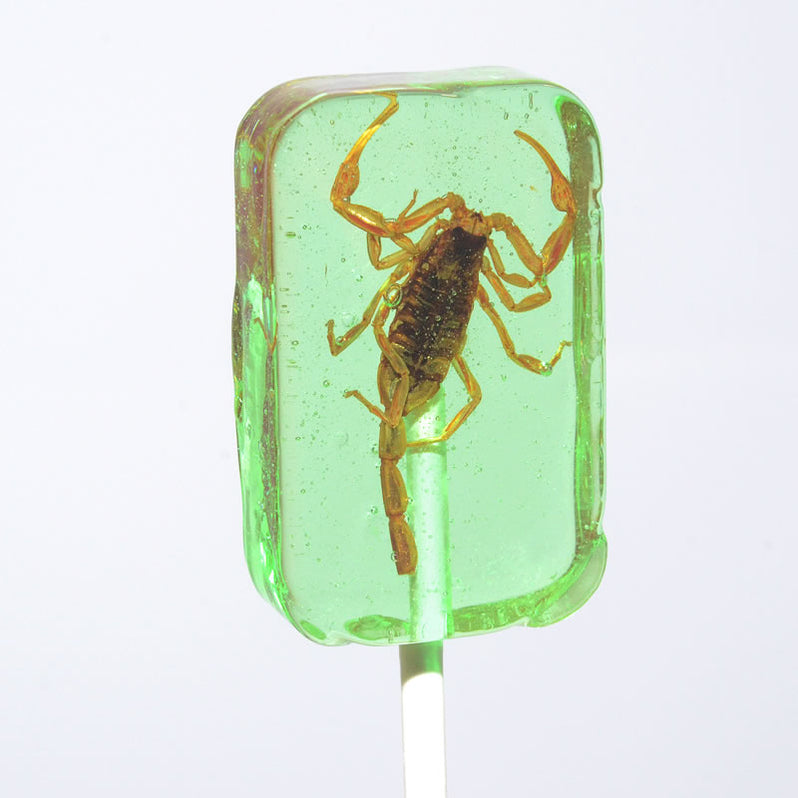Hotlix Scorpion Lollipop — Sweeties Candy of Arizona
